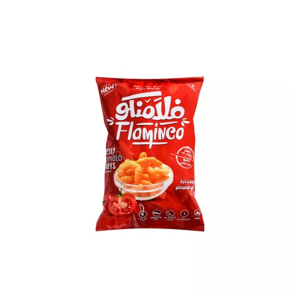 فلامنكو سناكس كاتشب 10 ج